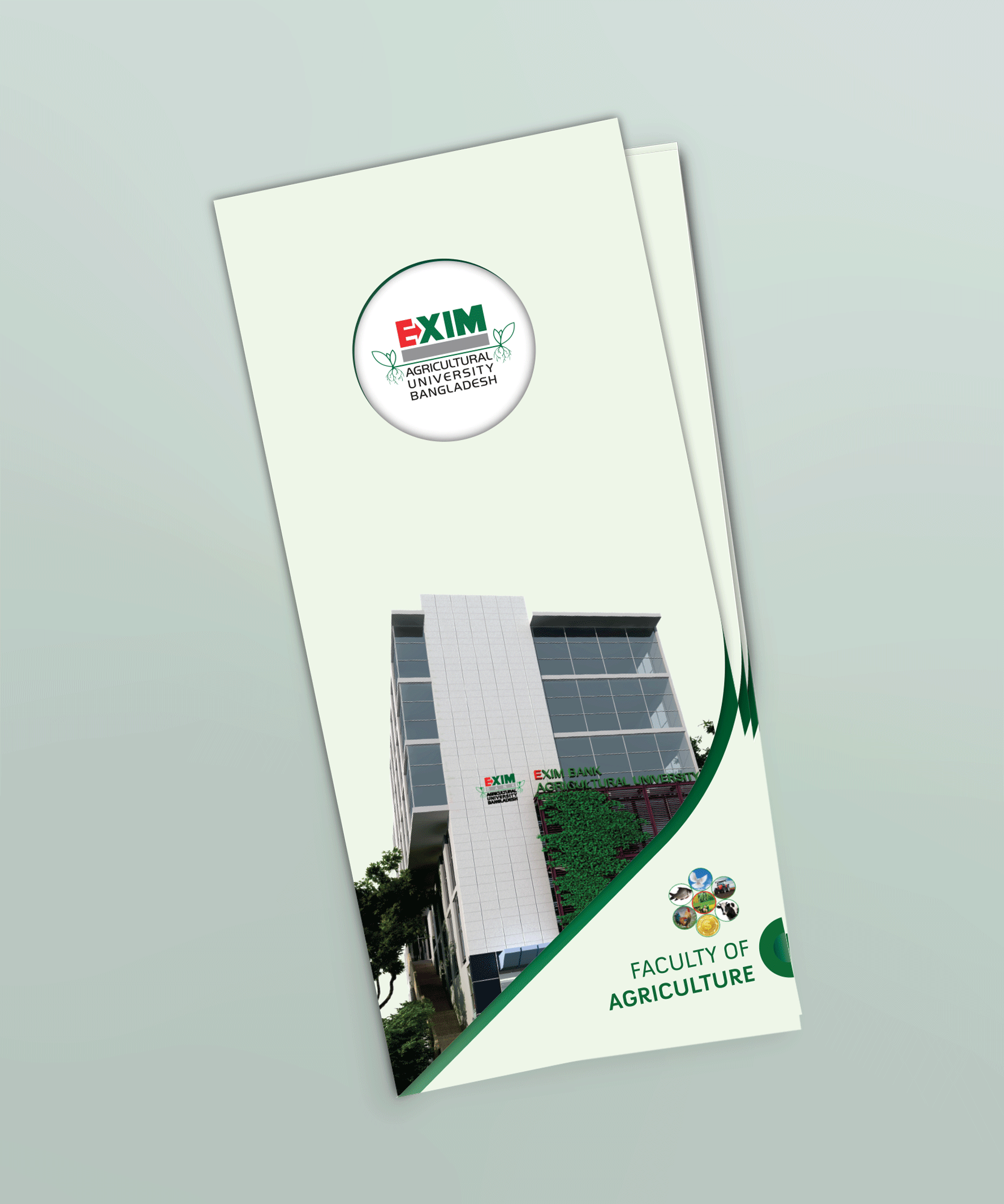 Ruminative – Design & More