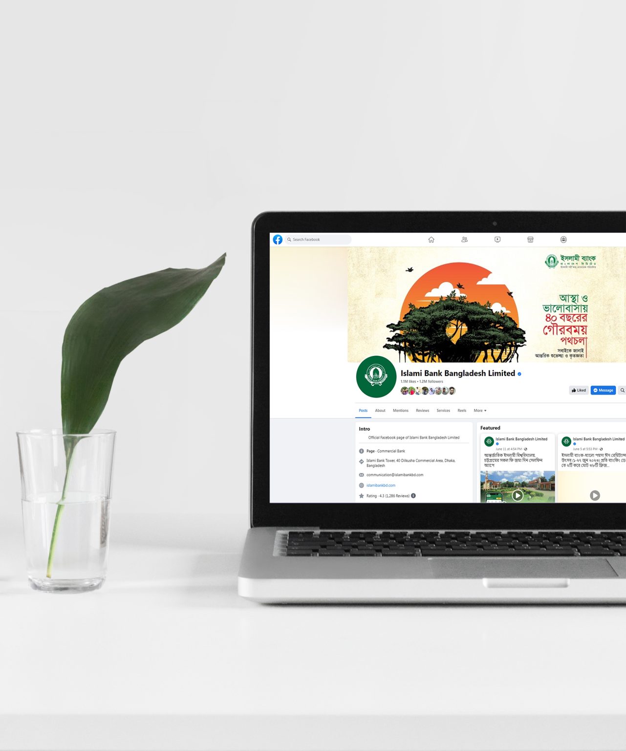 Ruminative – Design & More